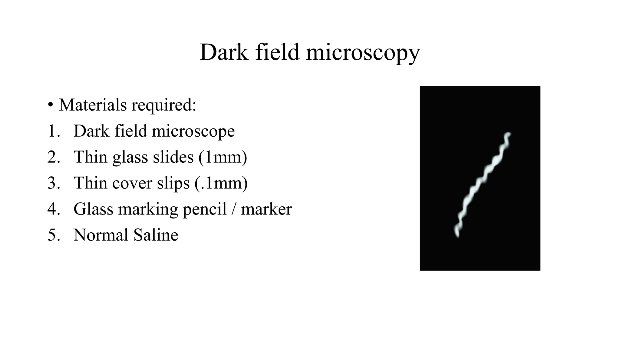 seminar- lab dx syphilis revised.pptx lab diagnosis of syphilis.lab ...