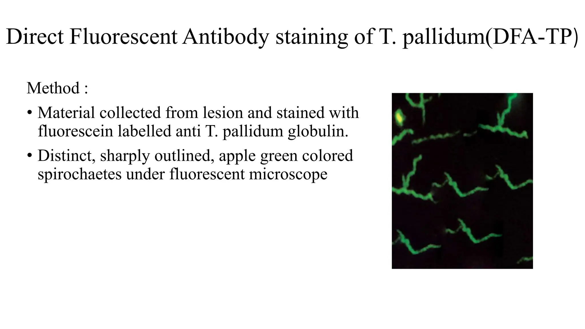 seminar- lab dx syphilis revised.pptx lab diagnosis of syphilis.lab ...