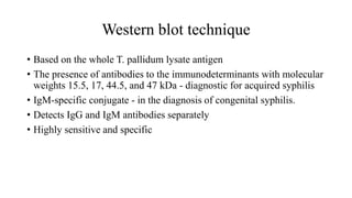 seminar- lab dx syphilis revised.pptx lab diagnosis of syphilis.lab ...
