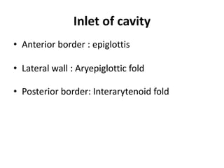 cavity of larynx | PPTX