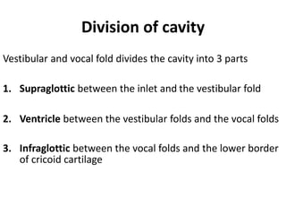 cavity of larynx | PPTX