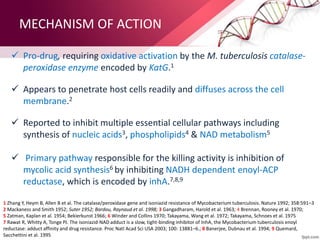 MOLECULAR BASIS & MECHANISMS OF DRUG RESISTANCE IN MYCOBACTERIUM ...