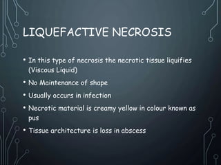 Necrosis ; Pathology ; MBBS Topic ; Seminar Topic ; Cell Death by ...