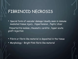 Necrosis ; Pathology ; MBBS Topic ; Seminar Topic ; Cell Death by ...