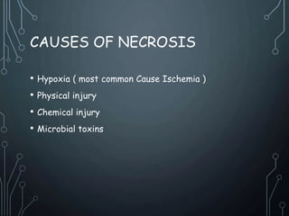 Necrosis ; Pathology ; MBBS Topic ; Seminar Topic ; Cell Death by ...
