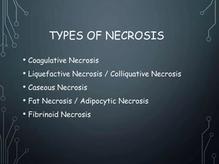 Necrosis ; Pathology ; MBBS Topic ; Seminar Topic ; Cell Death by ...