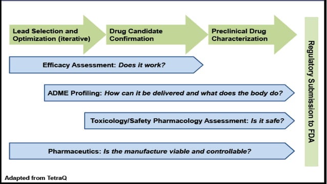 New drug development process | PPTX