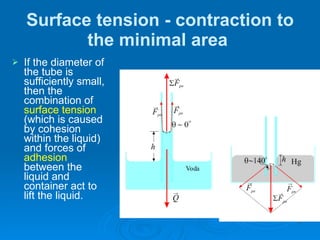 Measuring the Surface Tension of Water by Light Diffraction on ...
