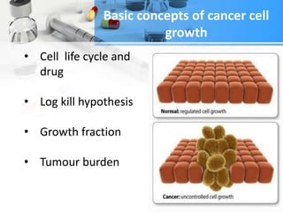 Chemotherapeutic Drugs | PPTX