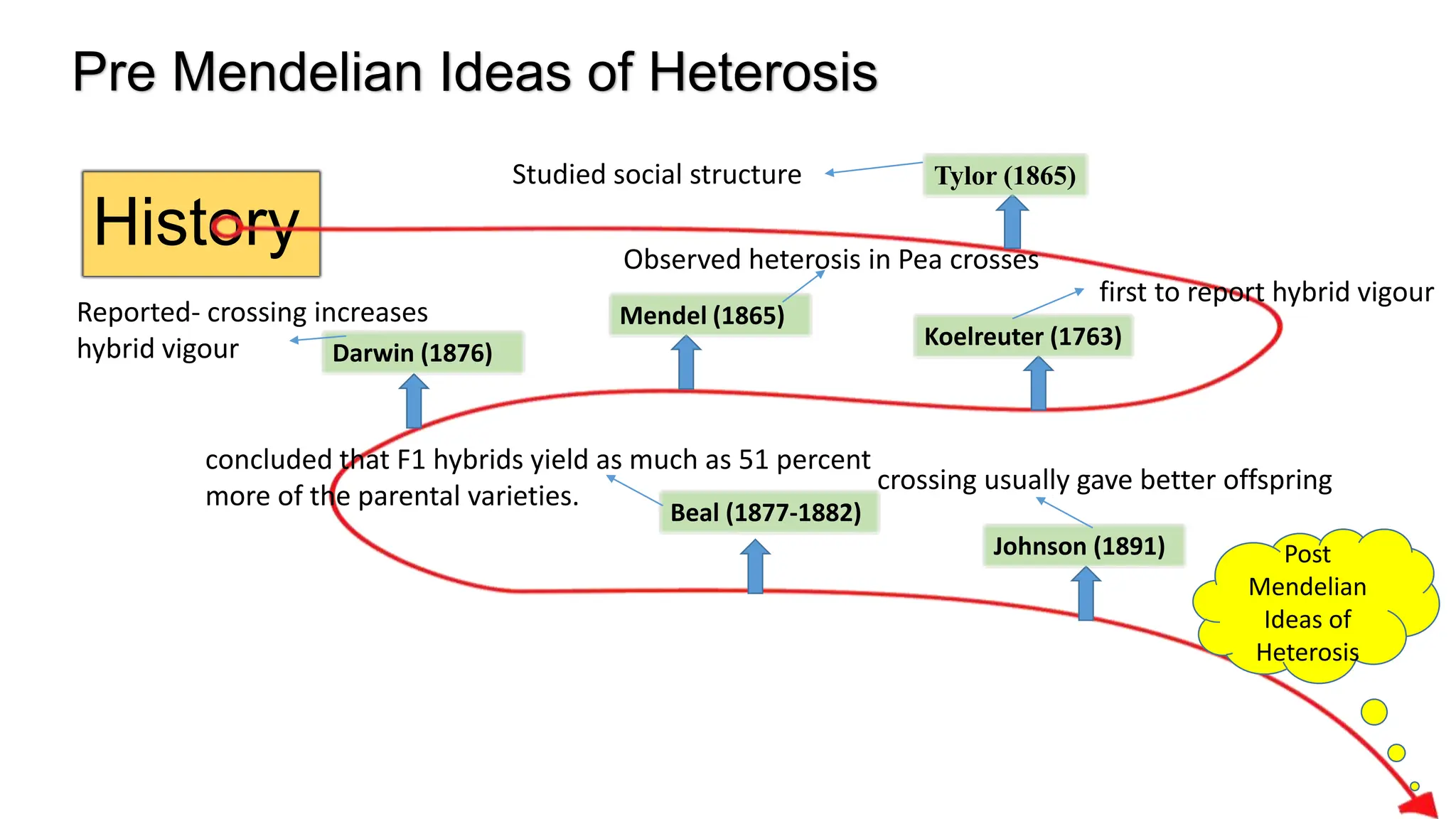 Understanding heterosis: unfolding classical theories | PPTX