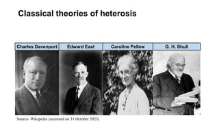 Understanding heterosis: unfolding classical theories | PPT
