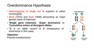 Understanding heterosis: unfolding classical theories | PPT