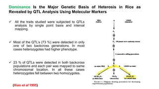 Understanding heterosis: unfolding classical theories | PPTX
