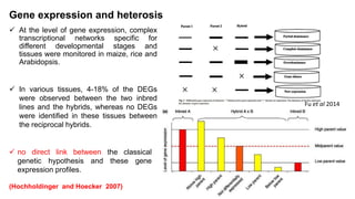 Understanding heterosis: unfolding classical theories | PPT
