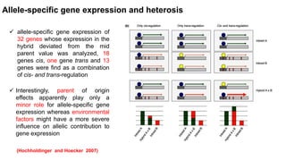 Understanding heterosis: unfolding classical theories | PPTX