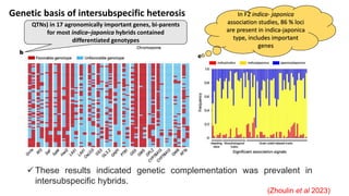 Understanding heterosis: unfolding classical theories | PPTX