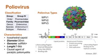 Immune response and vaccines of Poliovirus- Respuesta Inmune y vacunas ...