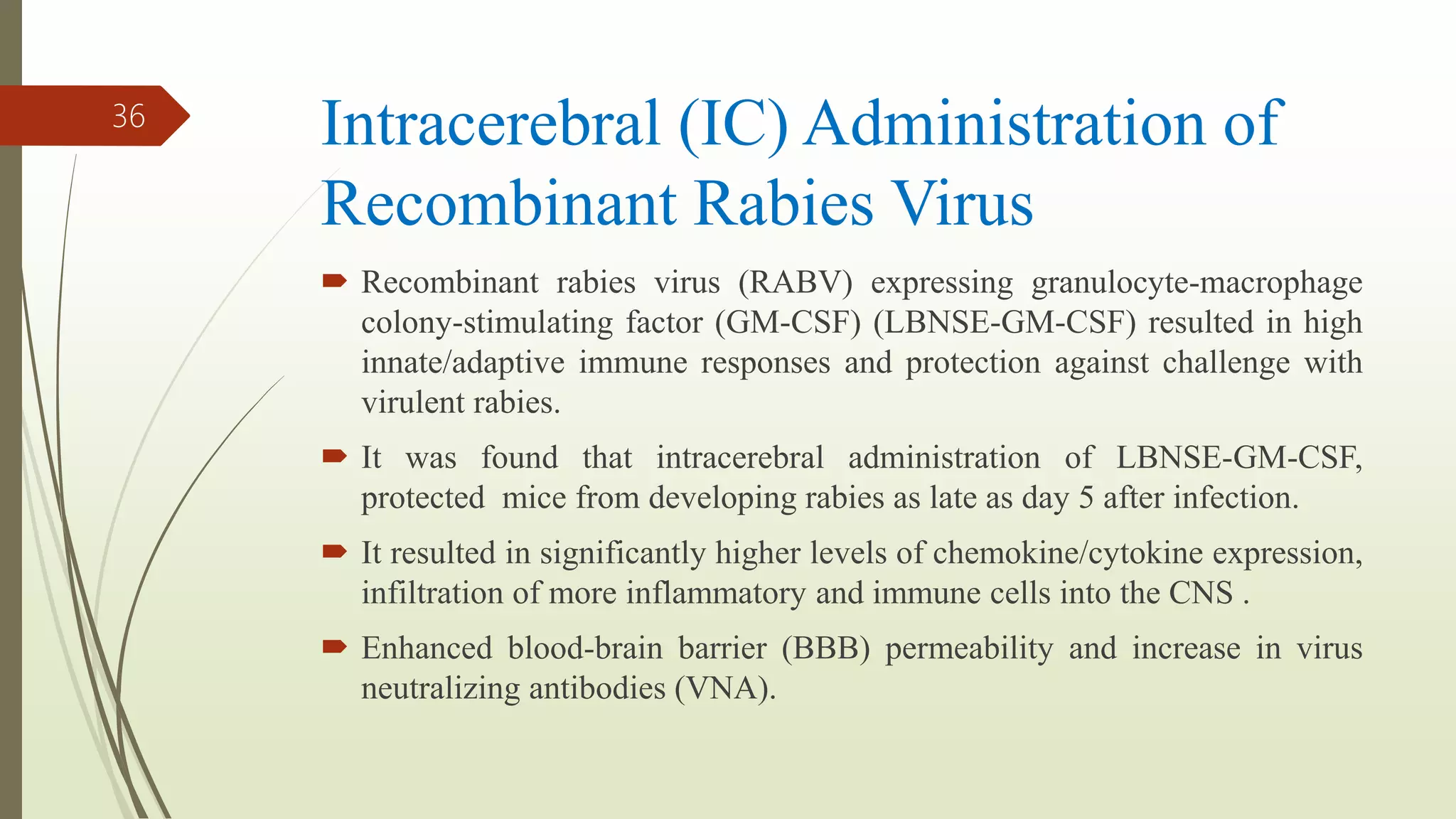 Rabies vaccines | PPTX