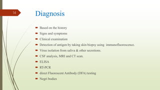 Rabies vaccines | PPTX