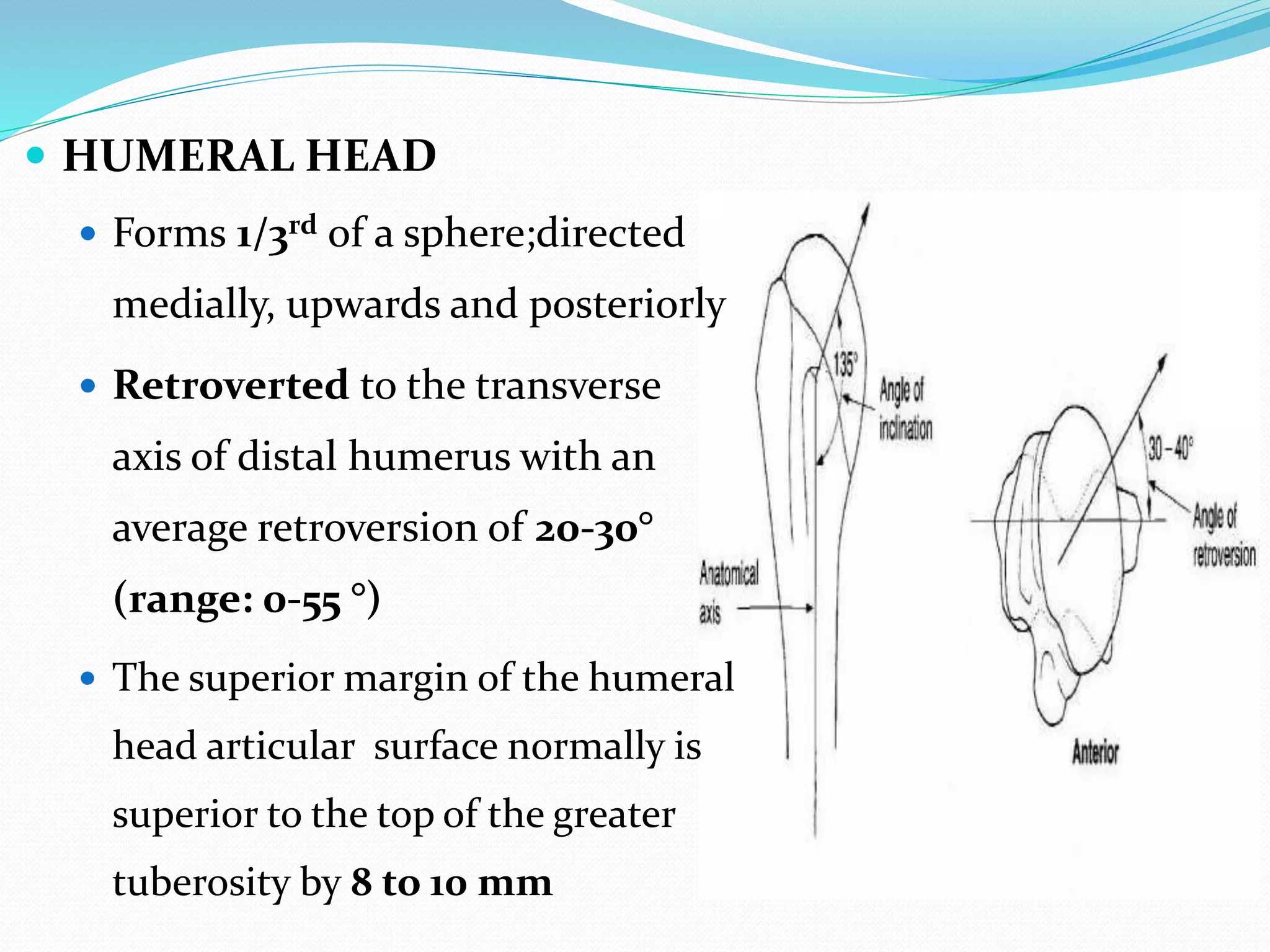 Seminar recent advances reverse shoulder arthroplasty | PPTX