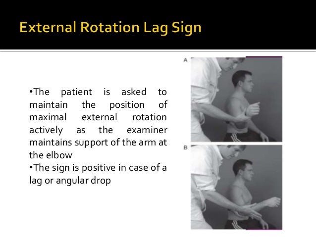 Seminar rotator cuff