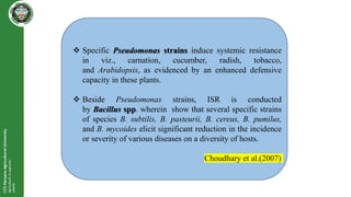 Seminar - SAR & ISR , it's significance in plant disease management | PPTX