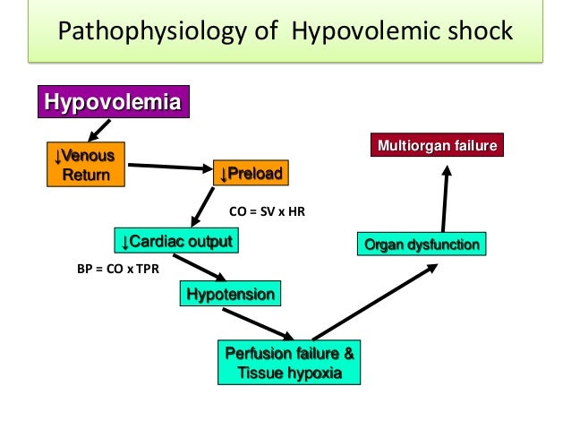 Shock : hypovolemic, septic and neurogenic