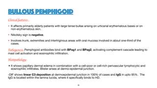 Vesiculobullous lesions of skin including intraepidermal and ...