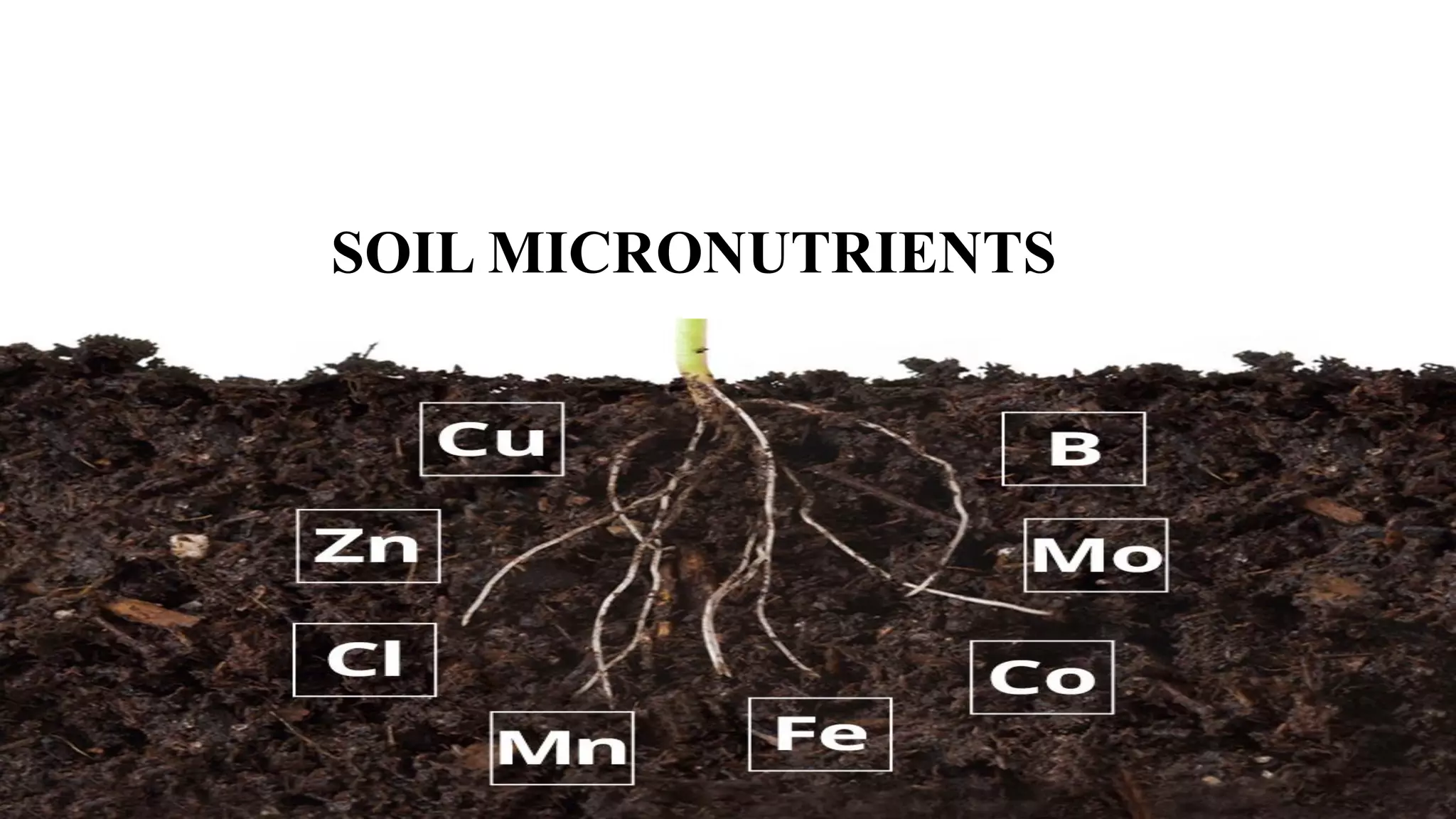 Soil micronutrients | PDF