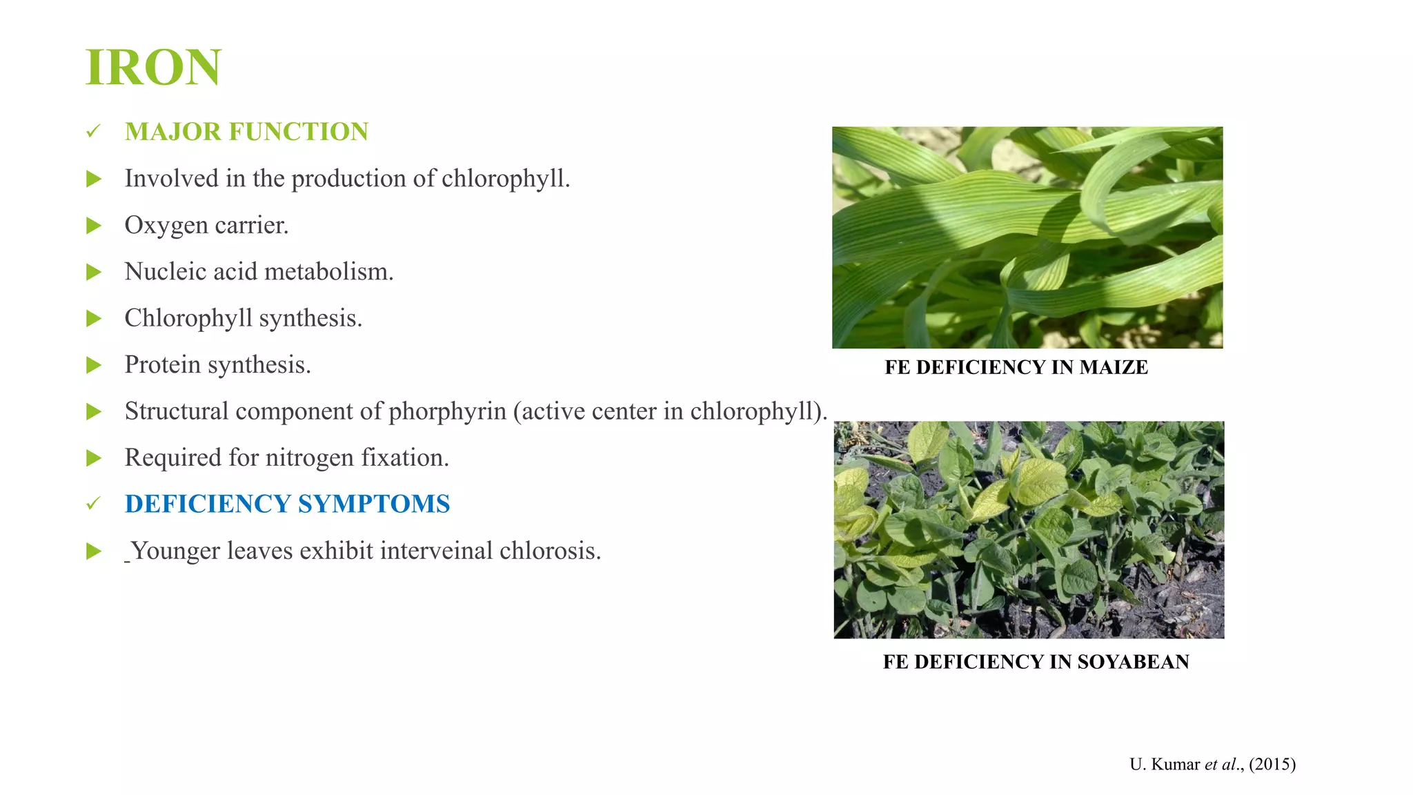 Soil micronutrients | PDF