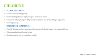 Soil micronutrients | PDF