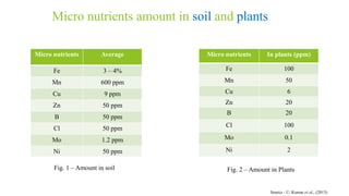 Soil micronutrients | PDF