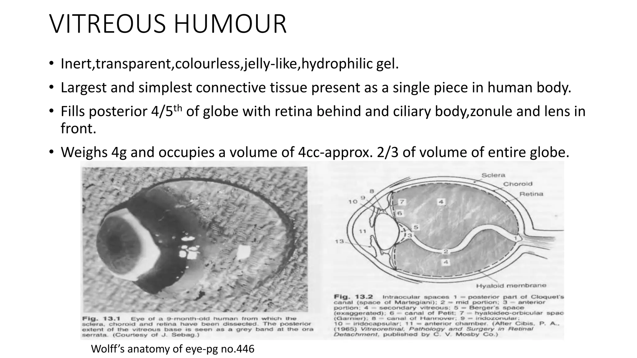 Vitreous substitutes in ophthalmology | PPTX