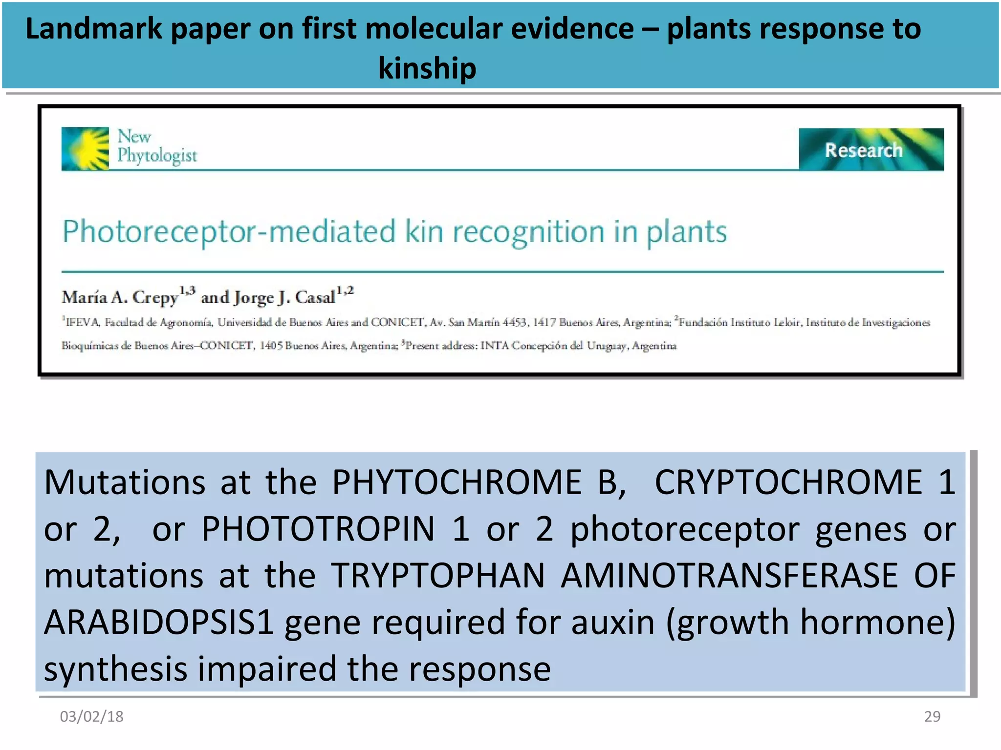Arguments for and against self and non-self root recognition in plants ...