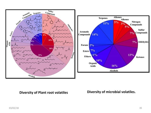 Arguments for and against self and non-self root recognition in plants ...