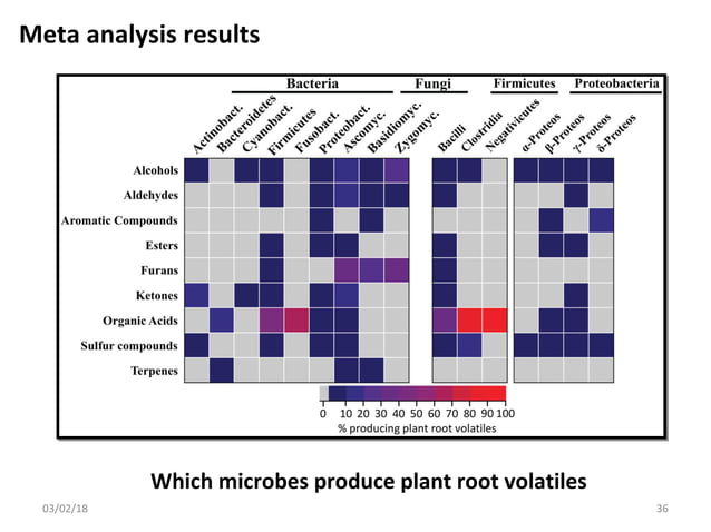 Arguments for and against self and non-self root recognition in plants ...