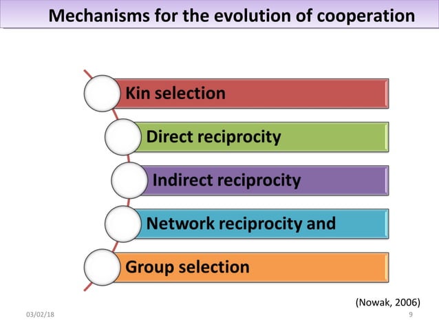 Arguments for and against self and non-self root recognition in plants ...