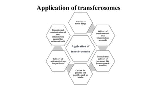 Transferosomes is a carrying body for targeted transdermal drug ...