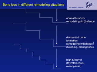 Seminar 04-03-2009 - bone turnover in a clinical perspective | PPT
