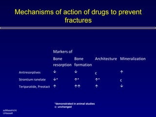 Seminar 08-12-2007 - bisphosphonate mechanism of action | PPT