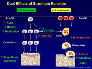 Seminar 08-12-2007 - bisphosphonate mechanism of action | PPT