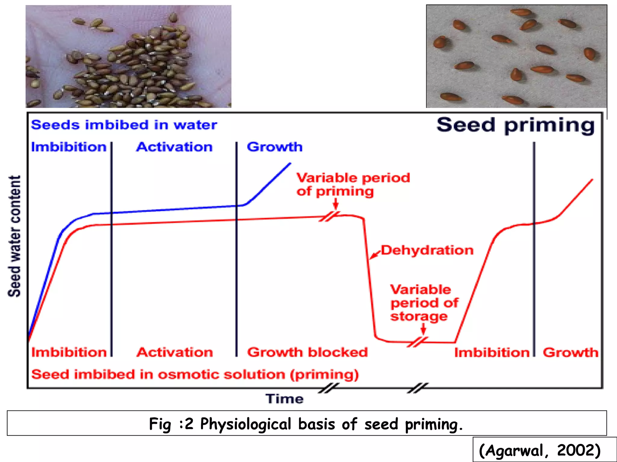 Seed Quality Enhancement technology of major vegetable crops | PPT