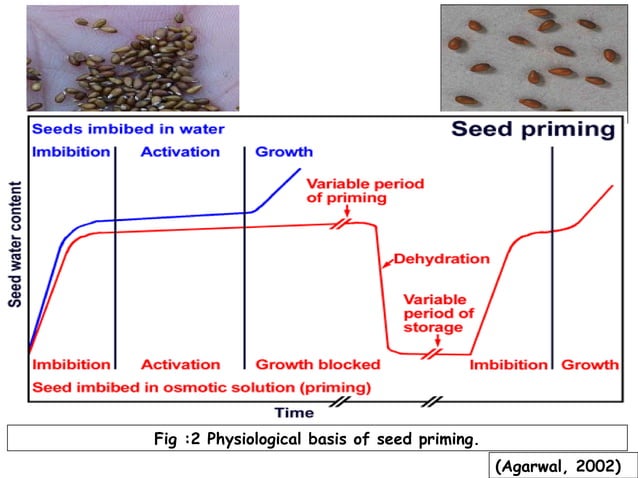 Seed Quality Enhancement technology of major vegetable crops | PPT