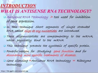 Antisense RNA Technology | PPTX