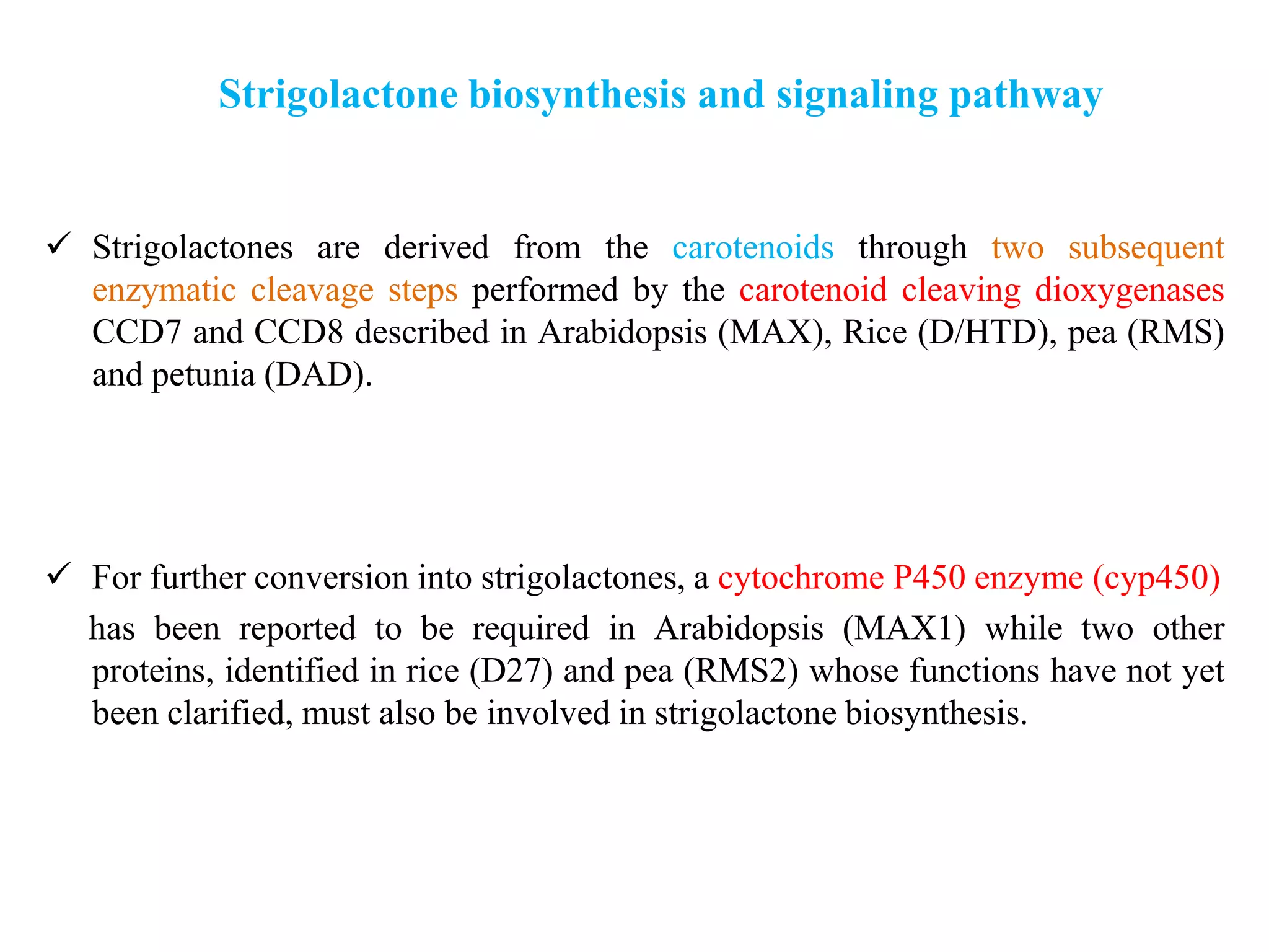 STRIGOLACTONES: Role In Plant Development | PDF
