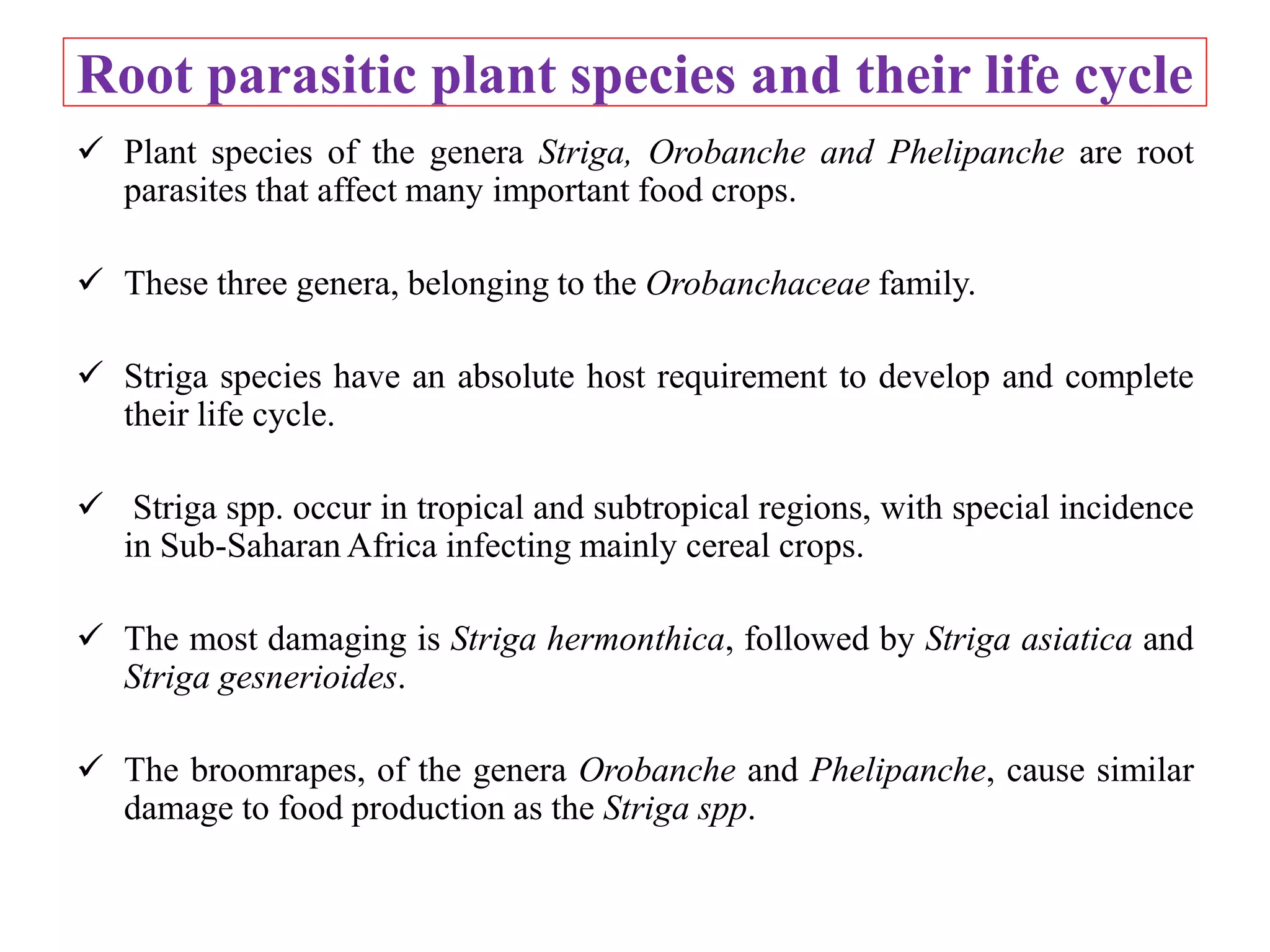 STRIGOLACTONES: Role In Plant Development | PDF