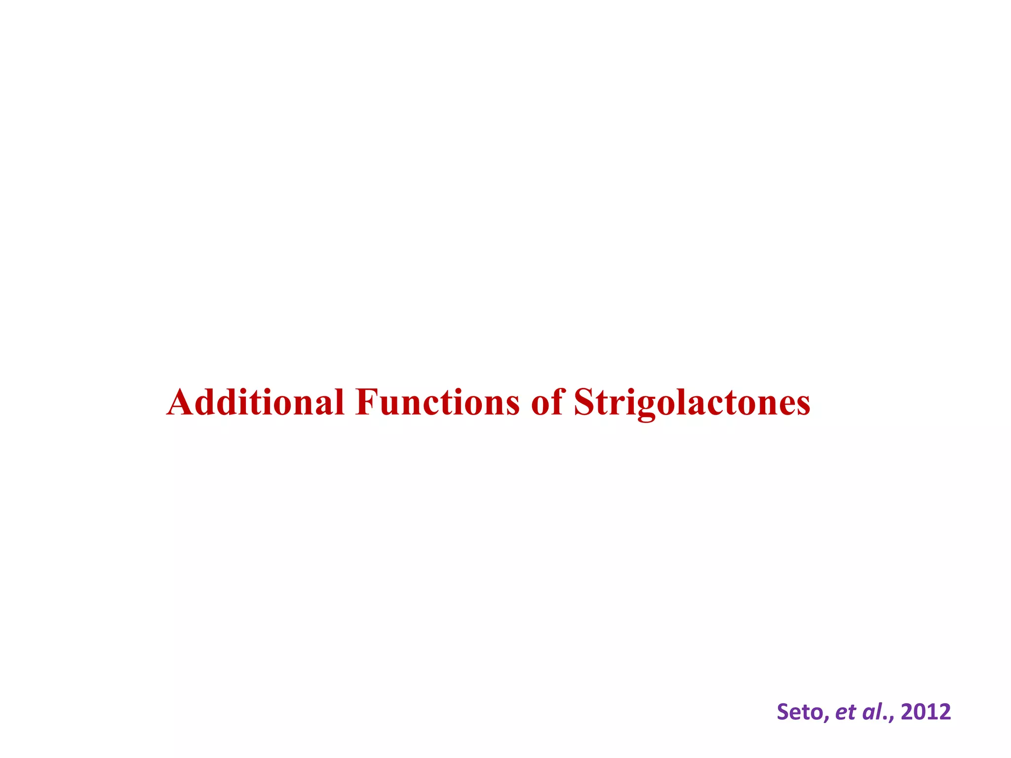 STRIGOLACTONES: Role In Plant Development | PDF