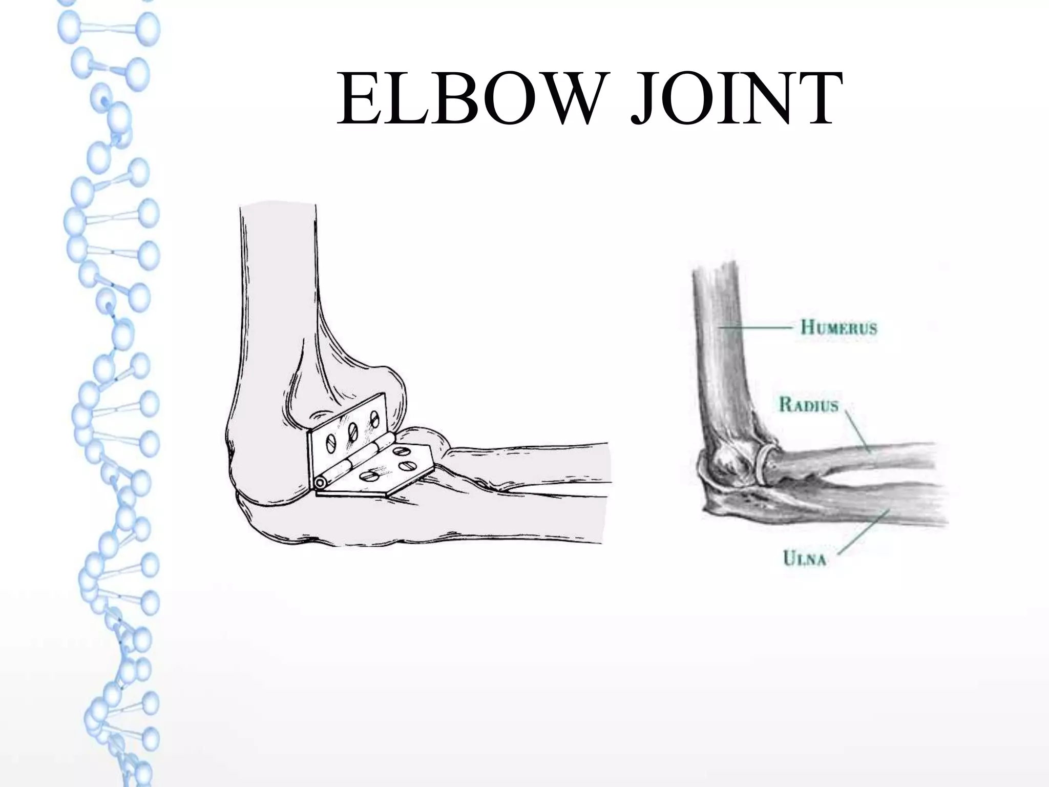 Distal humerus fracture and elbow dislocation | PPT
