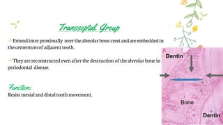 periodontal ligament | PPTX