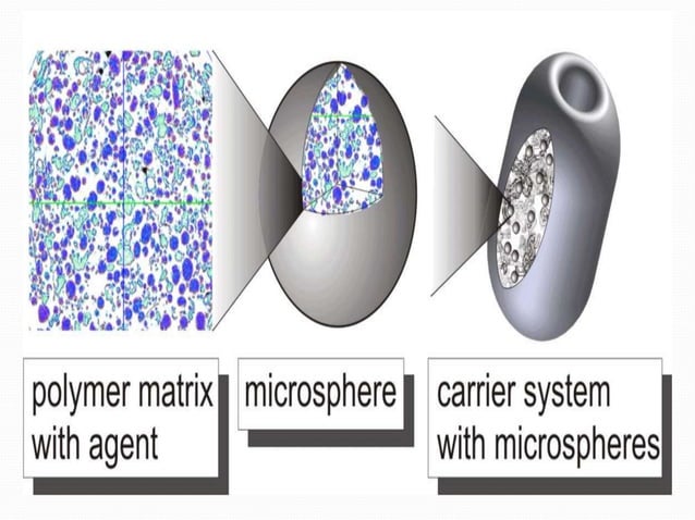 MODIFIED RELEASE DRUG DELIVERY SYSTEM | PPTX | Pharmaceutical Industry ...